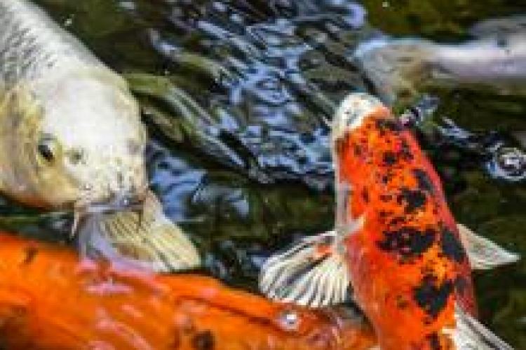 Page Builder Examples | Benchmark Management