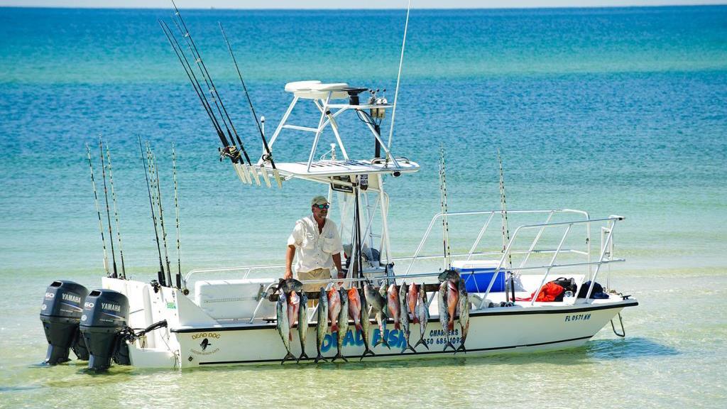 2025 Emerald Coast Blue Marlin Classic: The Ultimate Fishing Trip in ...